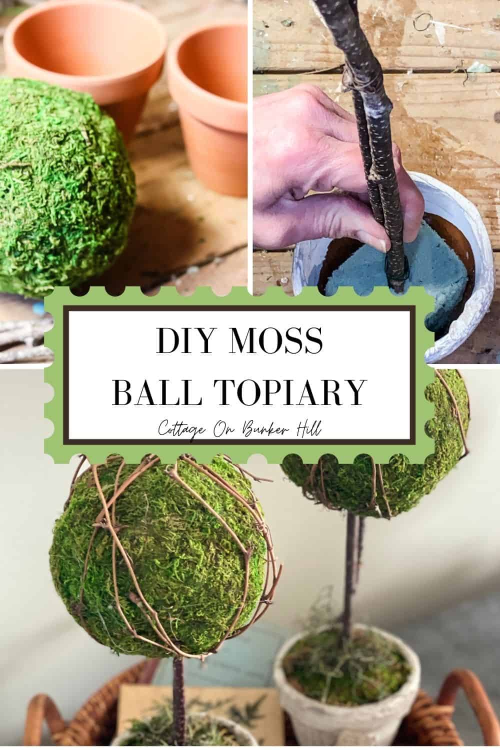 How to Craft Beautiful Moss Ball Topiaries in 5 Simple Steps - Cottage ...