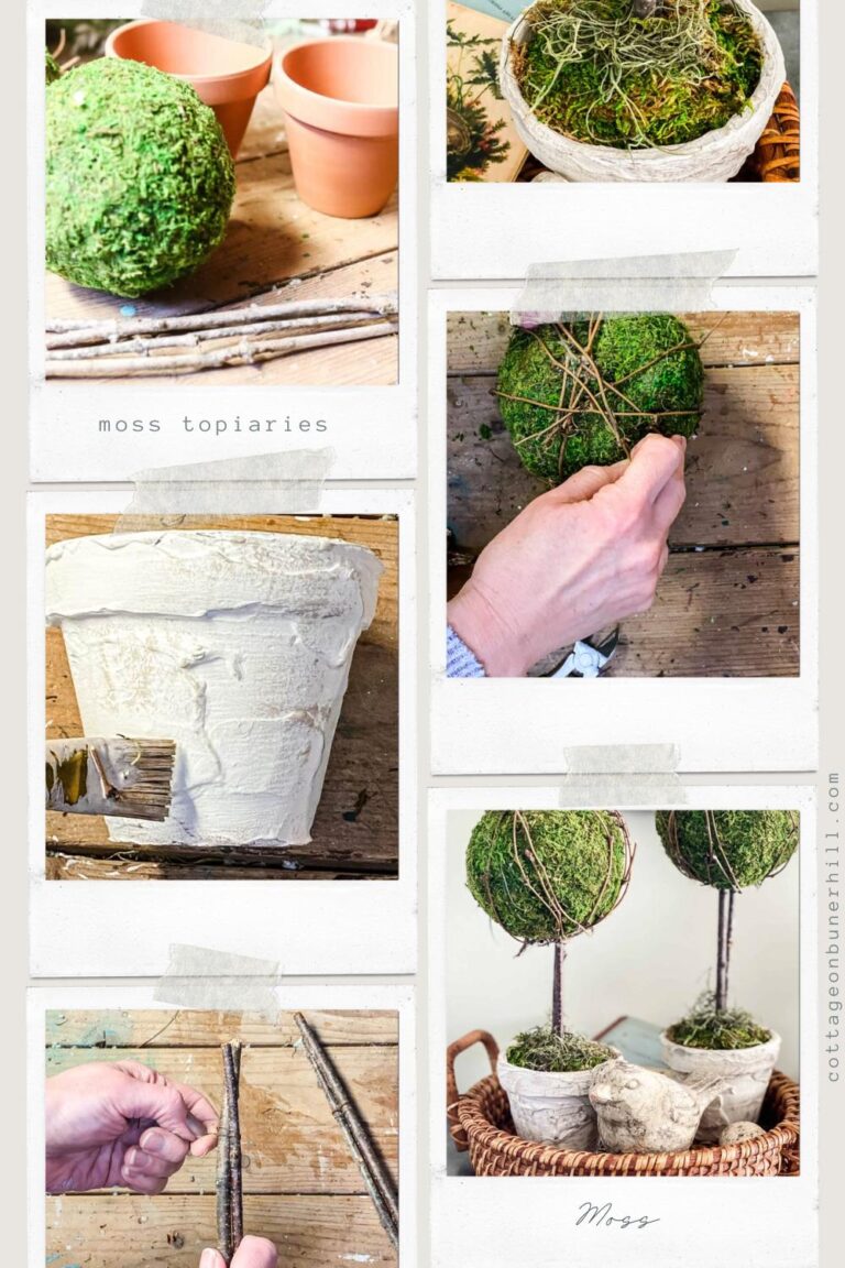 How to Craft Beautiful Moss Ball Topiaries in 5 Simple Steps - Cottage On Bunker Hill