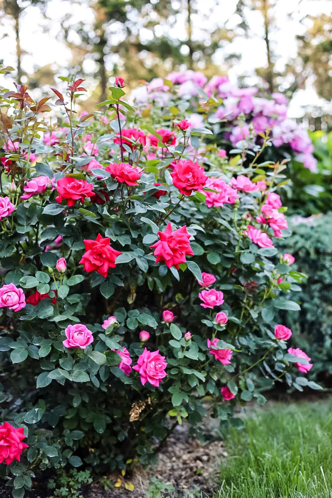Secret Garden Tour - Cottage On Bunker Hill