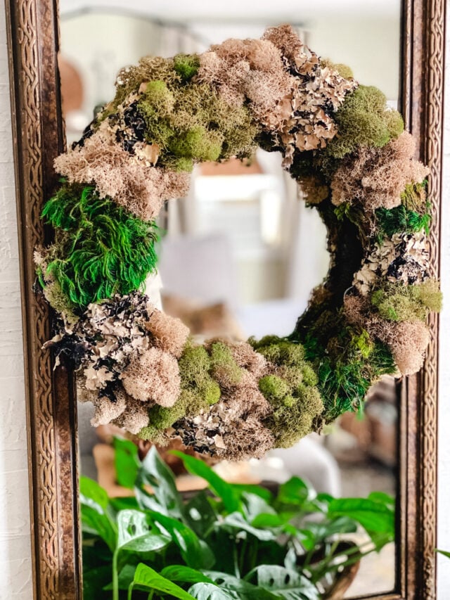 Moss Mania: DIY Projects for Every Home - Cottage On Bunker Hill