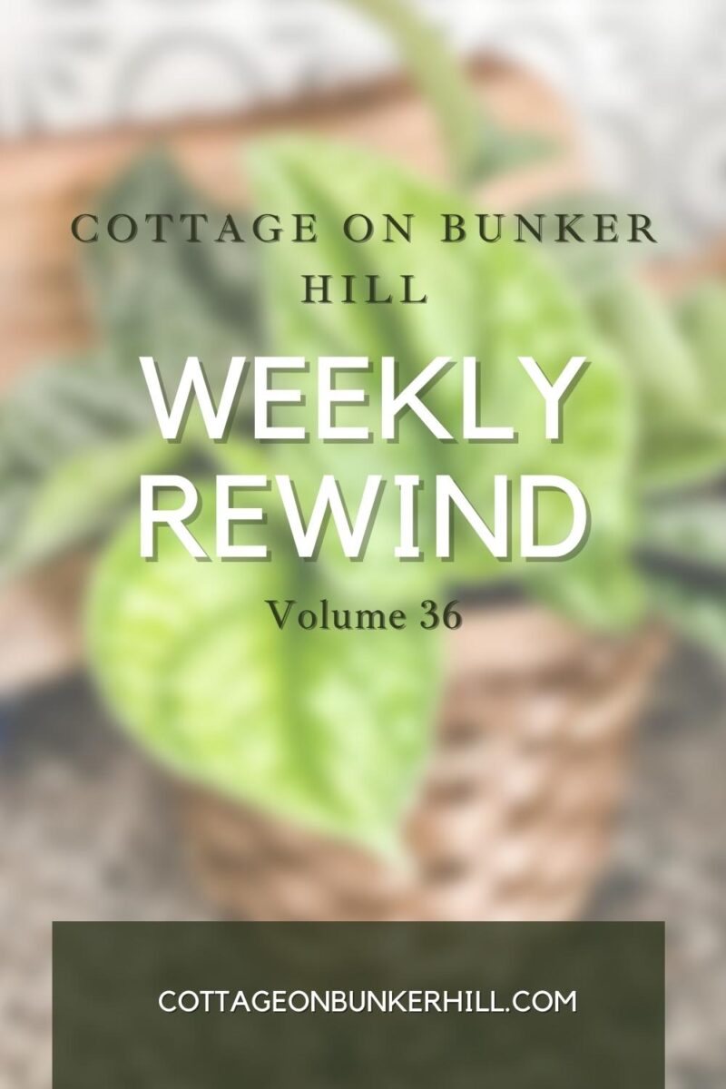 Easy Glazed Lemon Loaf Cake - Cottage On Bunker Hill