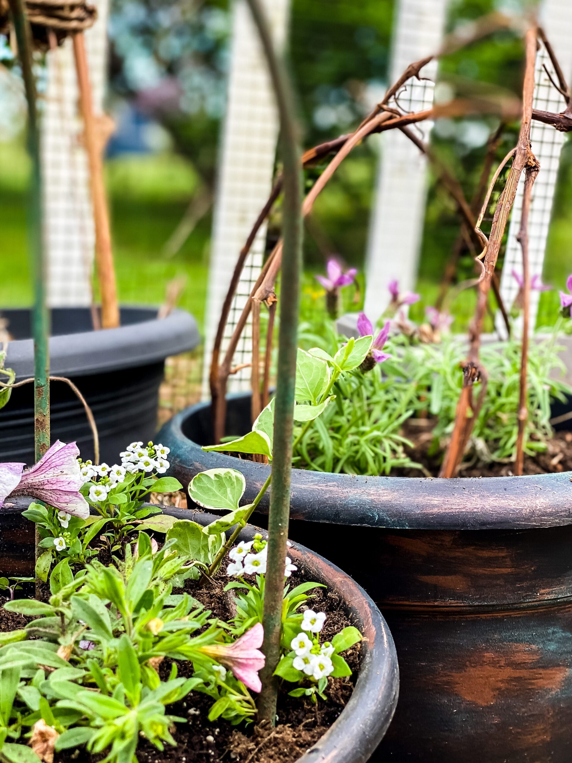 Easy Ways To Add Cottage Style To Your Garden Cottage On Bunker Hill easy-ways-to-add-cottage-style-to-your-garden-cottage-on-bunker-hill
