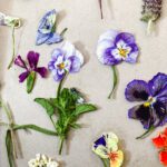 Ultimate Guide to Drying Flowers: Methods + Creative Projects - Cottage ...