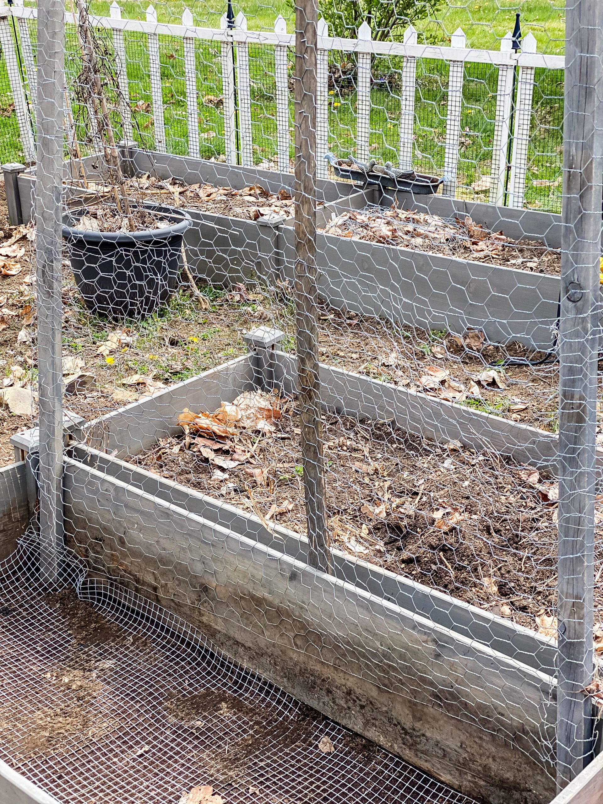 Planting Early Spring Vegetables In Your Garden - Cottage On Bunker Hill