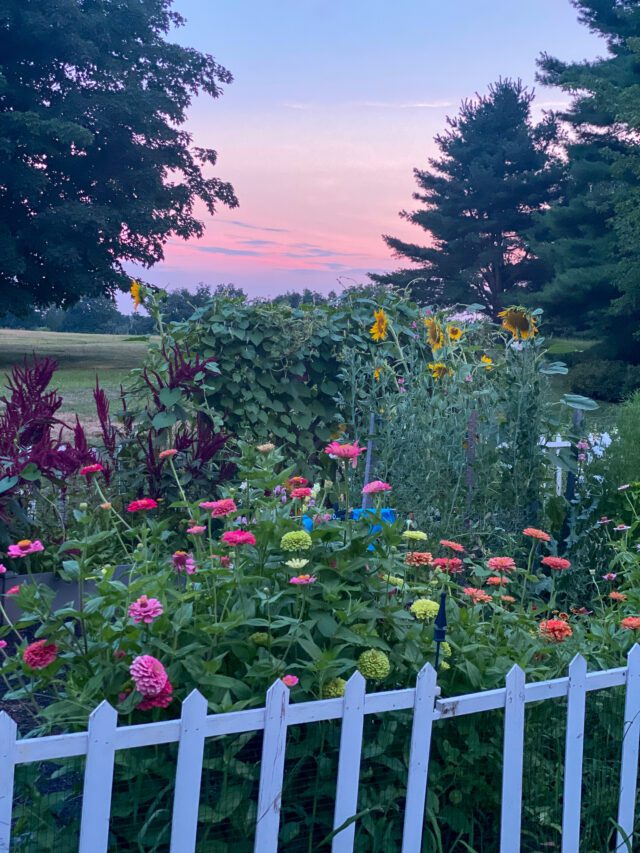 Spring into Bloom: Designing and Planting Your Dream Cottage Garden ...