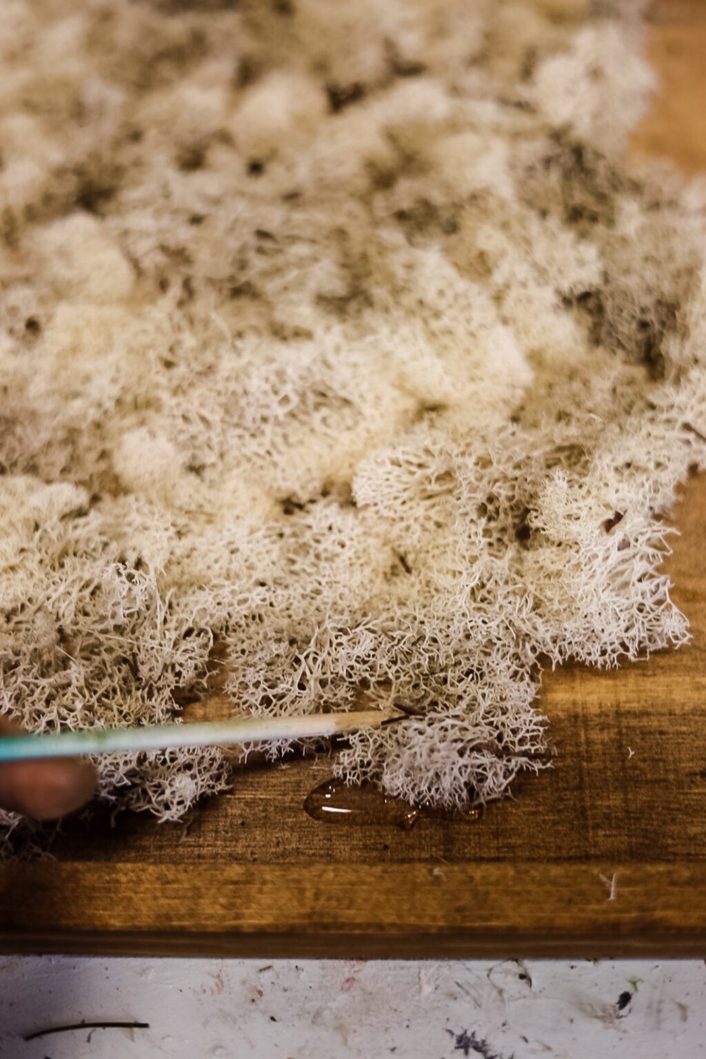 How To Make DIY Moss Wall Art - Cottage On Bunker Hill