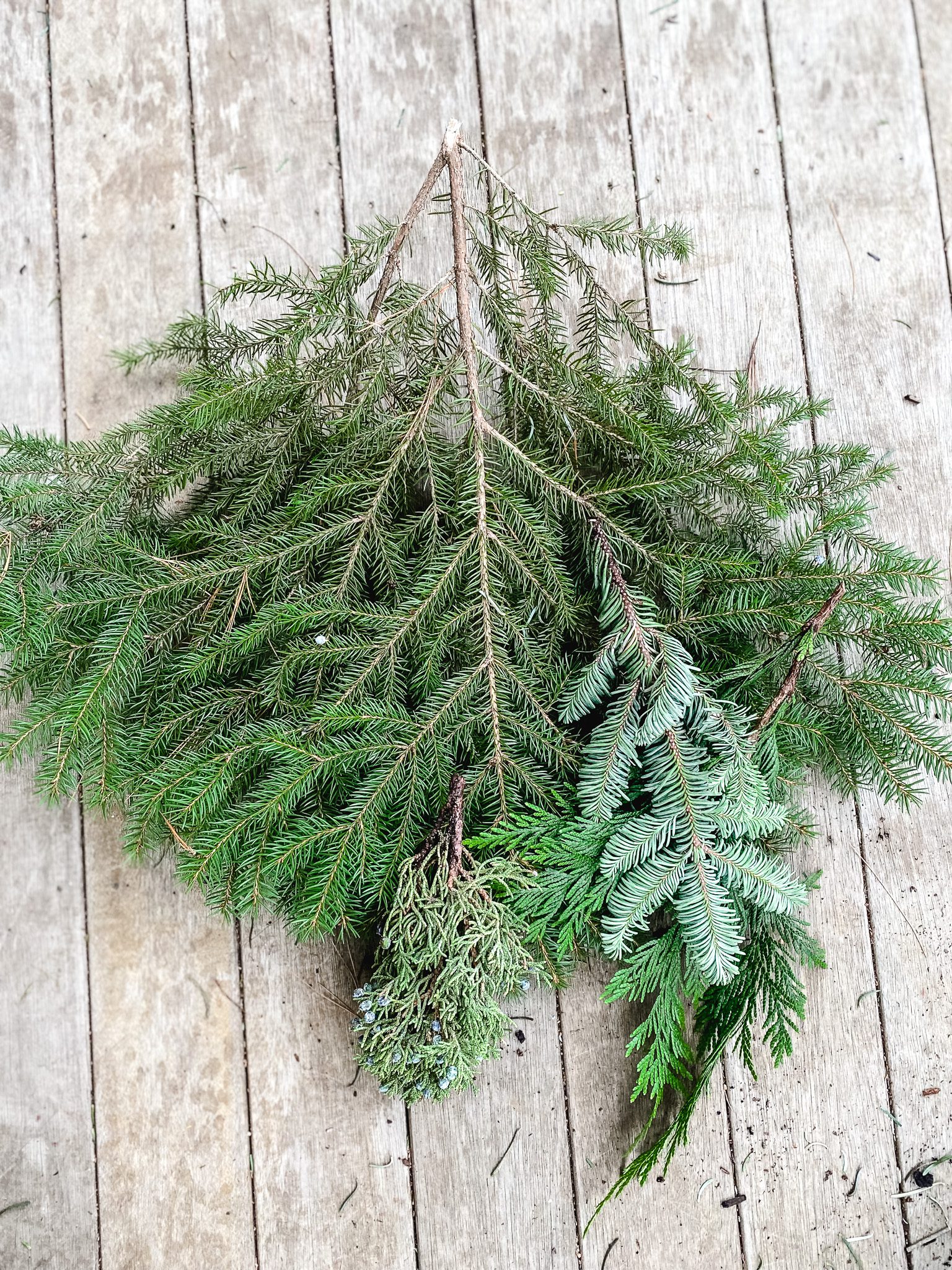 Greenery Galore: Decorating Your Home with Greenery and Natural ...