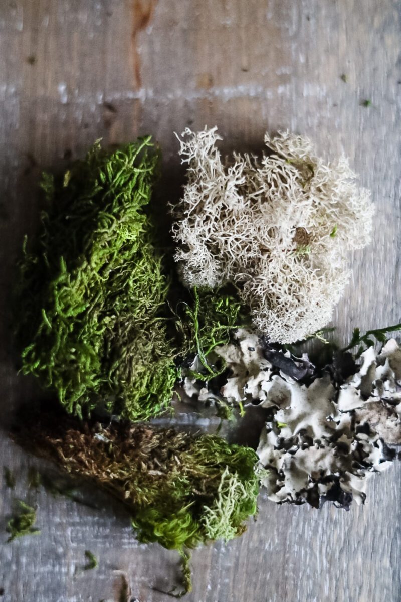 DIY Moss Branches: A Quick and Easy Nature Craft - Cottage On Bunker Hill