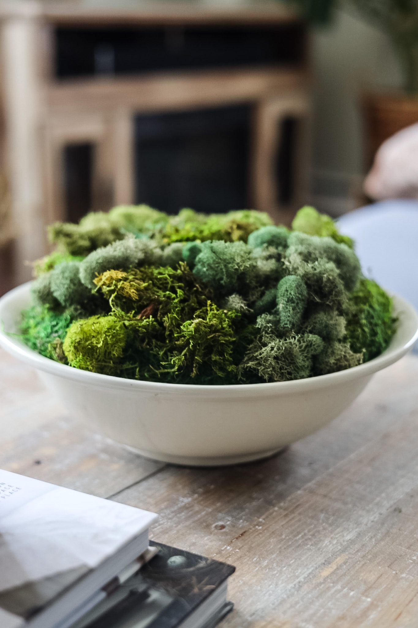 Moss Mania: DIY Projects for Every Home - Cottage On Bunker Hill