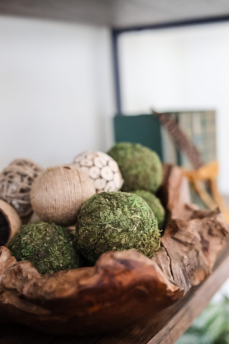 Moss Mania: DIY Projects for Every Home - Cottage On Bunker Hill