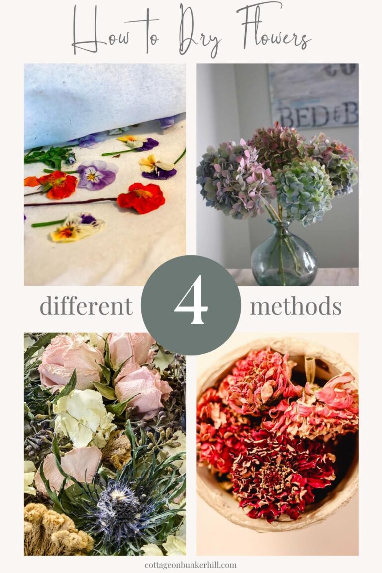 Ultimate Guide to Drying Flowers: Methods + Creative Projects - Cottage ...
