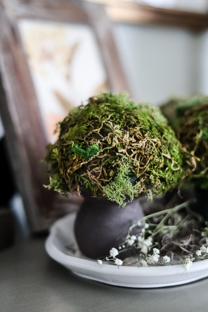 Crafting with Nature: 25 DIY Projects Using Flowers and Botanicals ...