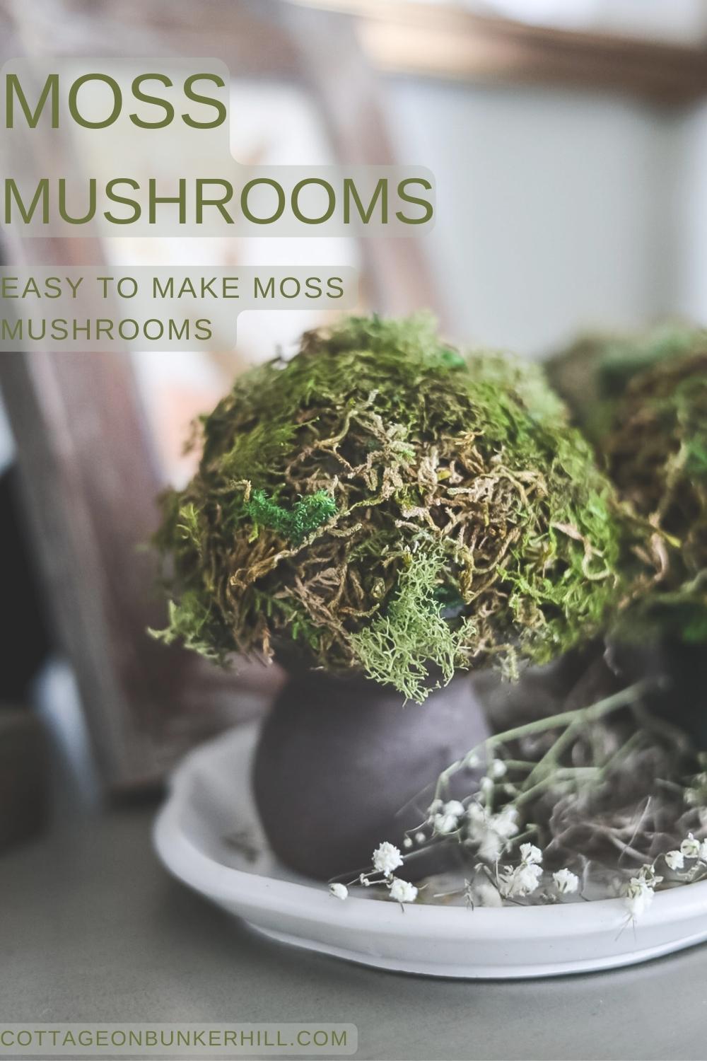 Easy to Make Moss Mushrooms - Cottage On Bunker Hill