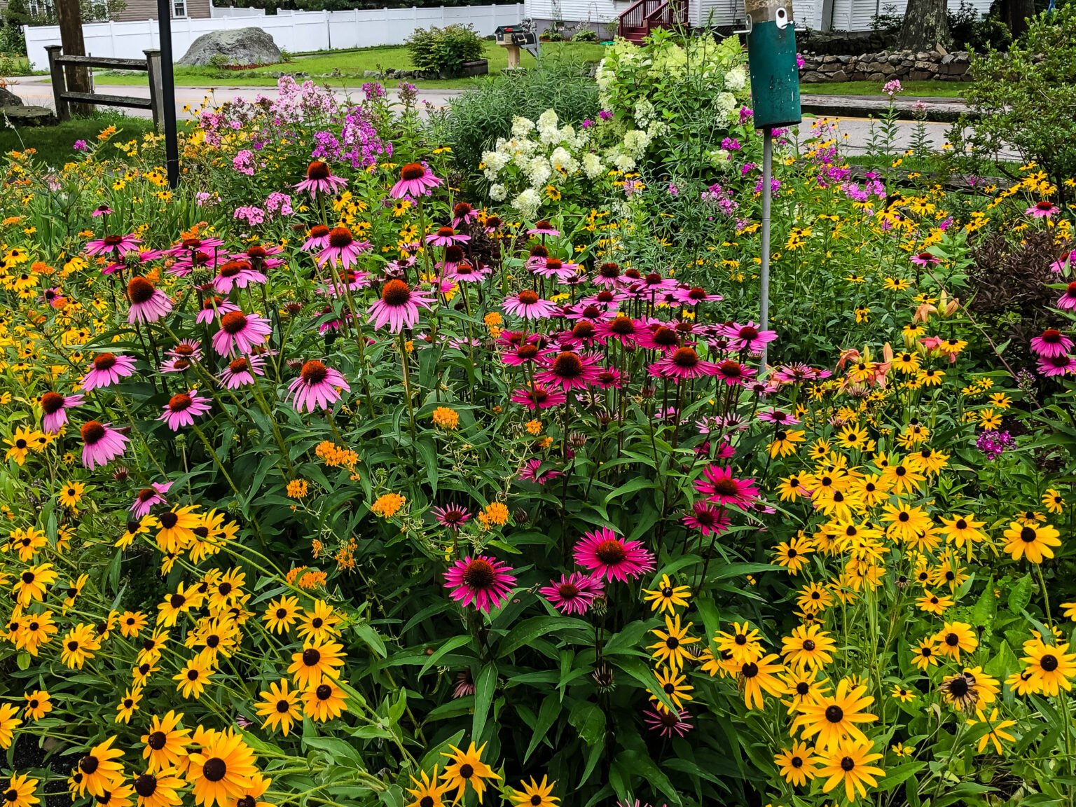 Plant a Pollinator Garden in New England: Tips for Creating a Buzzing ...
