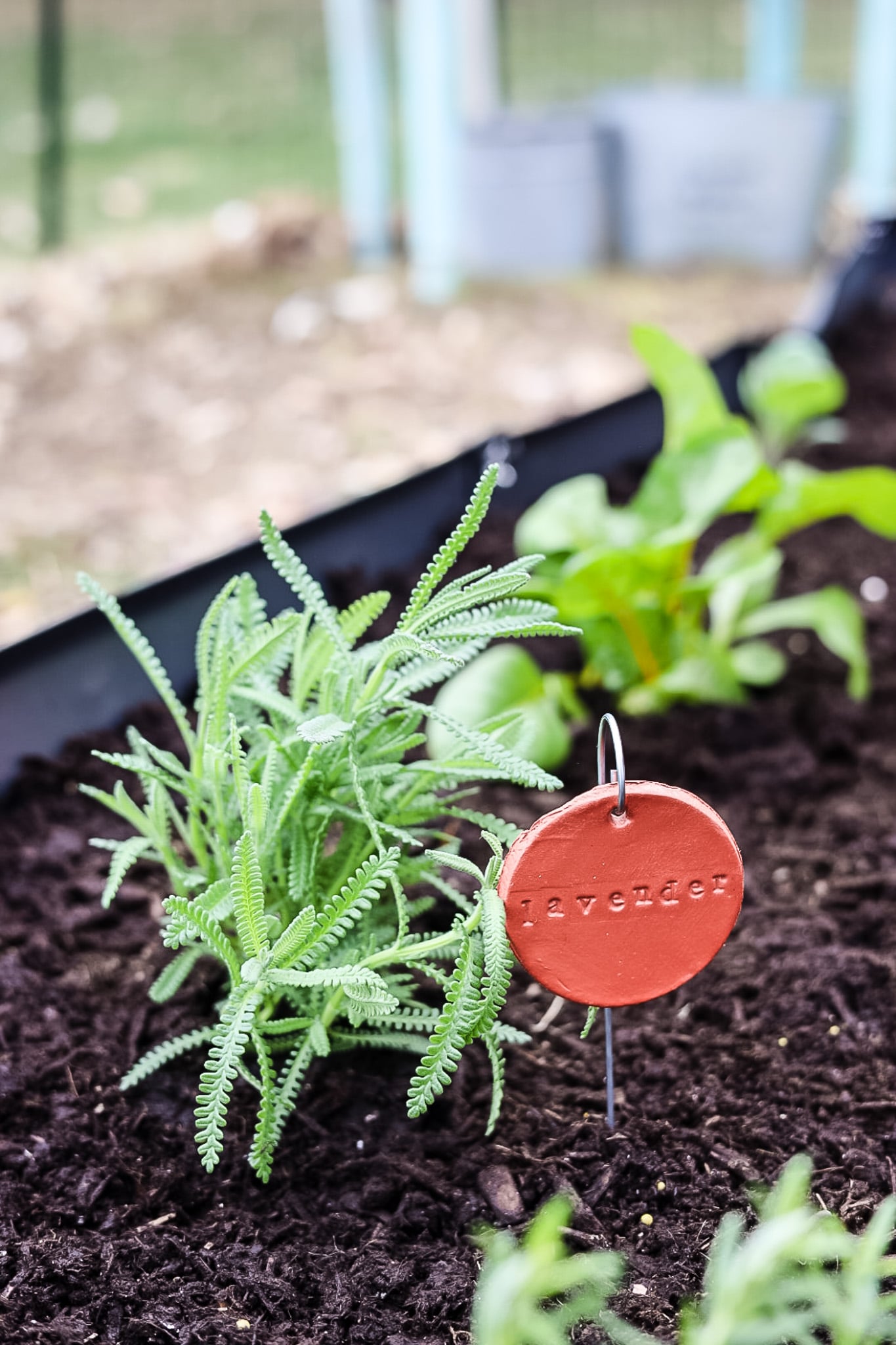 DIY Clay Plant Markers: Easy, Custom & Charming Garden Labels - Cottage ...