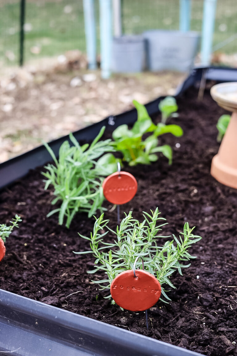 DIY Clay Plant Markers: Easy, Custom & Charming Garden Labels - Cottage ...
