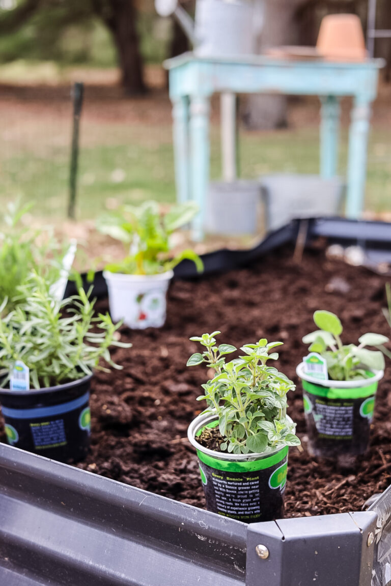 DIY Clay Plant Markers: Easy, Custom & Charming Garden Labels - Cottage ...