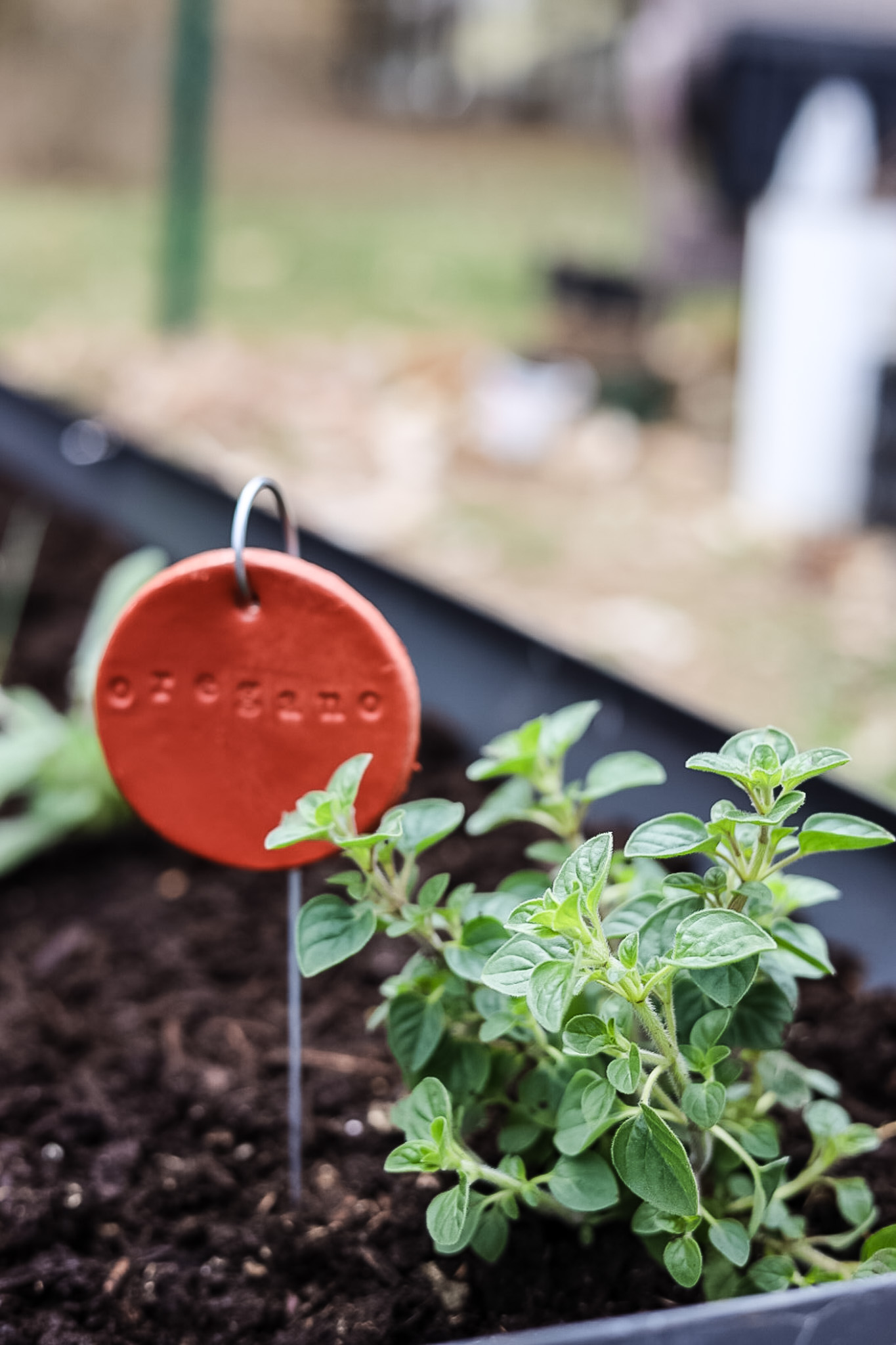 DIY Clay Plant Markers: Easy, Custom & Charming Garden Labels - Cottage ...