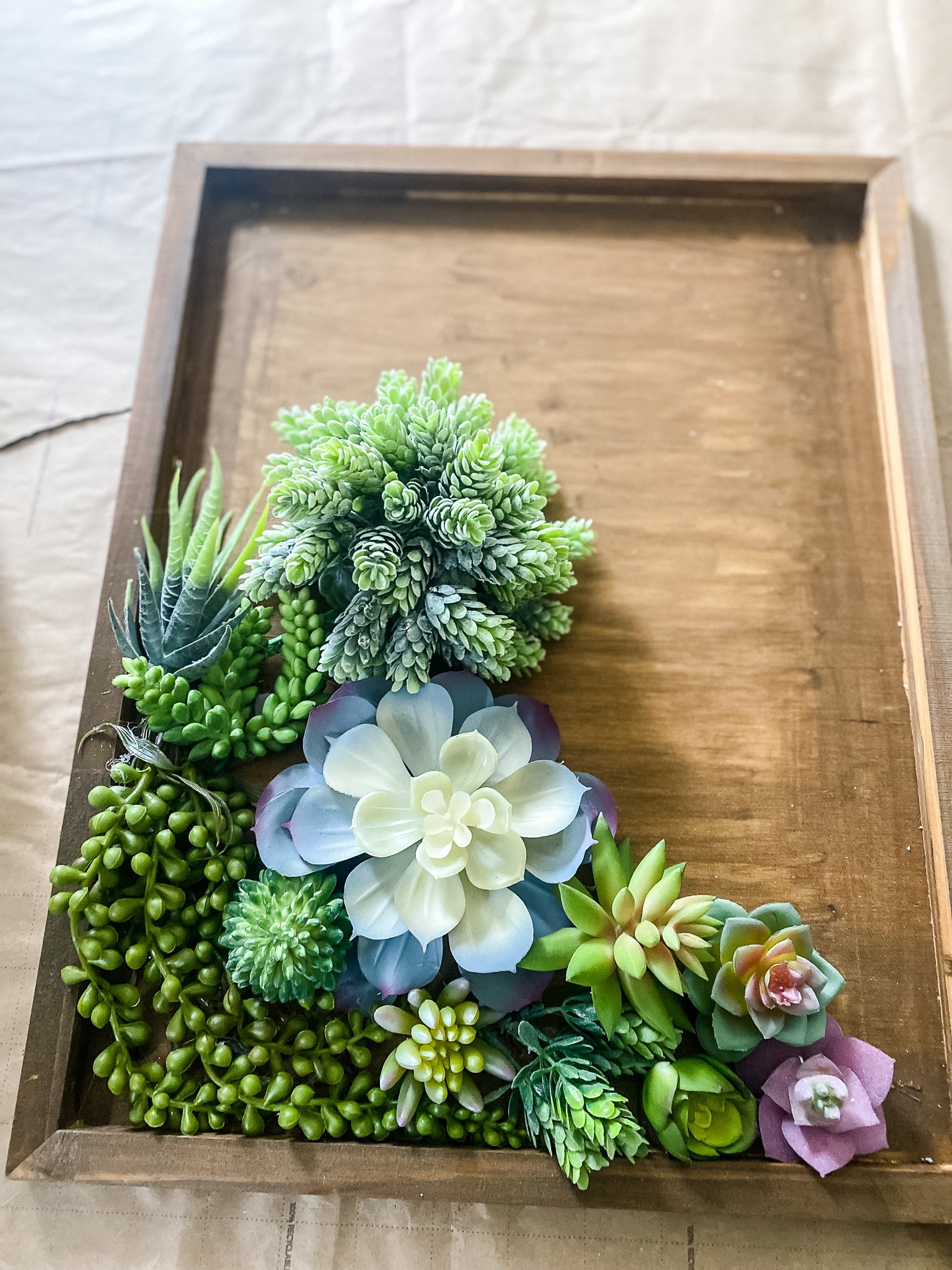DIY Succulent Wall Art: The Perfect Way to Add a Touch of Green to Your ...