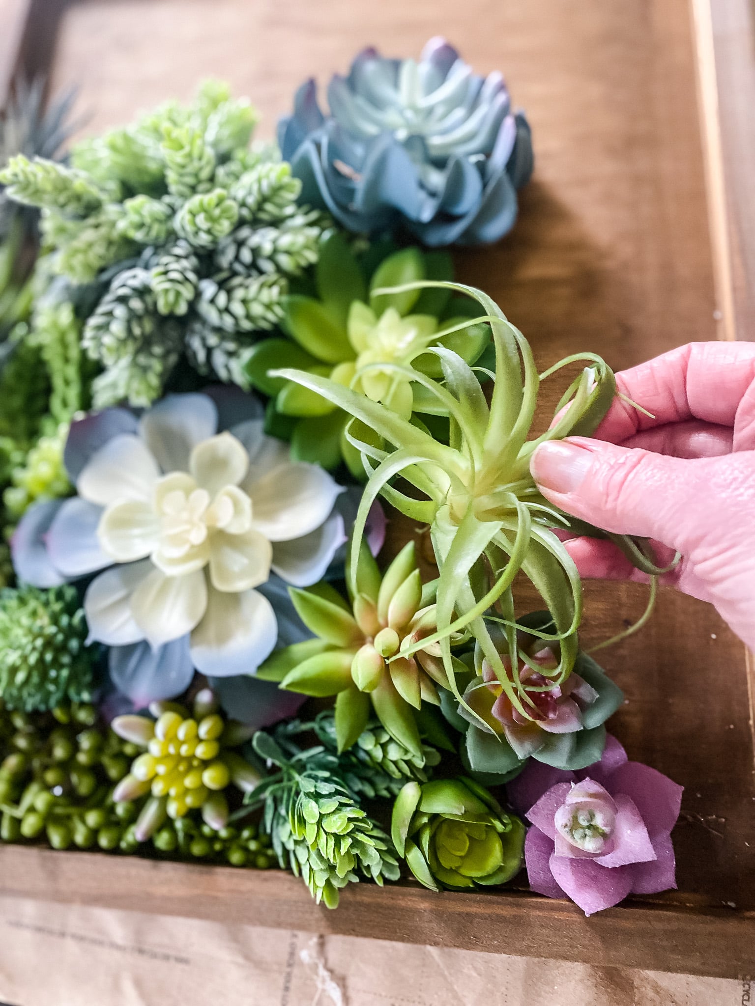 DIY Succulent Wall Art: The Perfect Way to Add a Touch of Green to Your ...