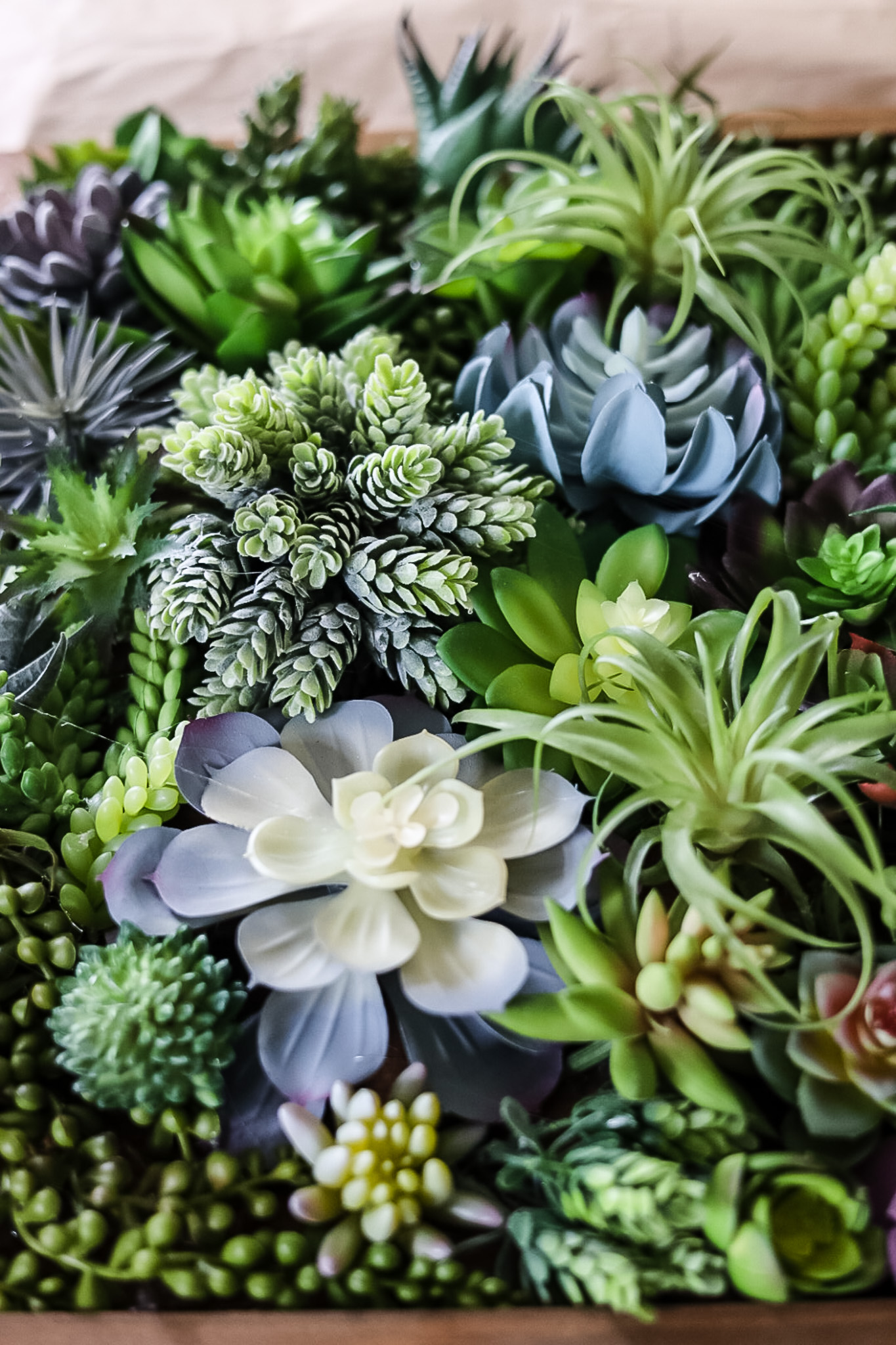 DIY Succulent Wall Art: The Perfect Way to Add a Touch of Green to Your ...