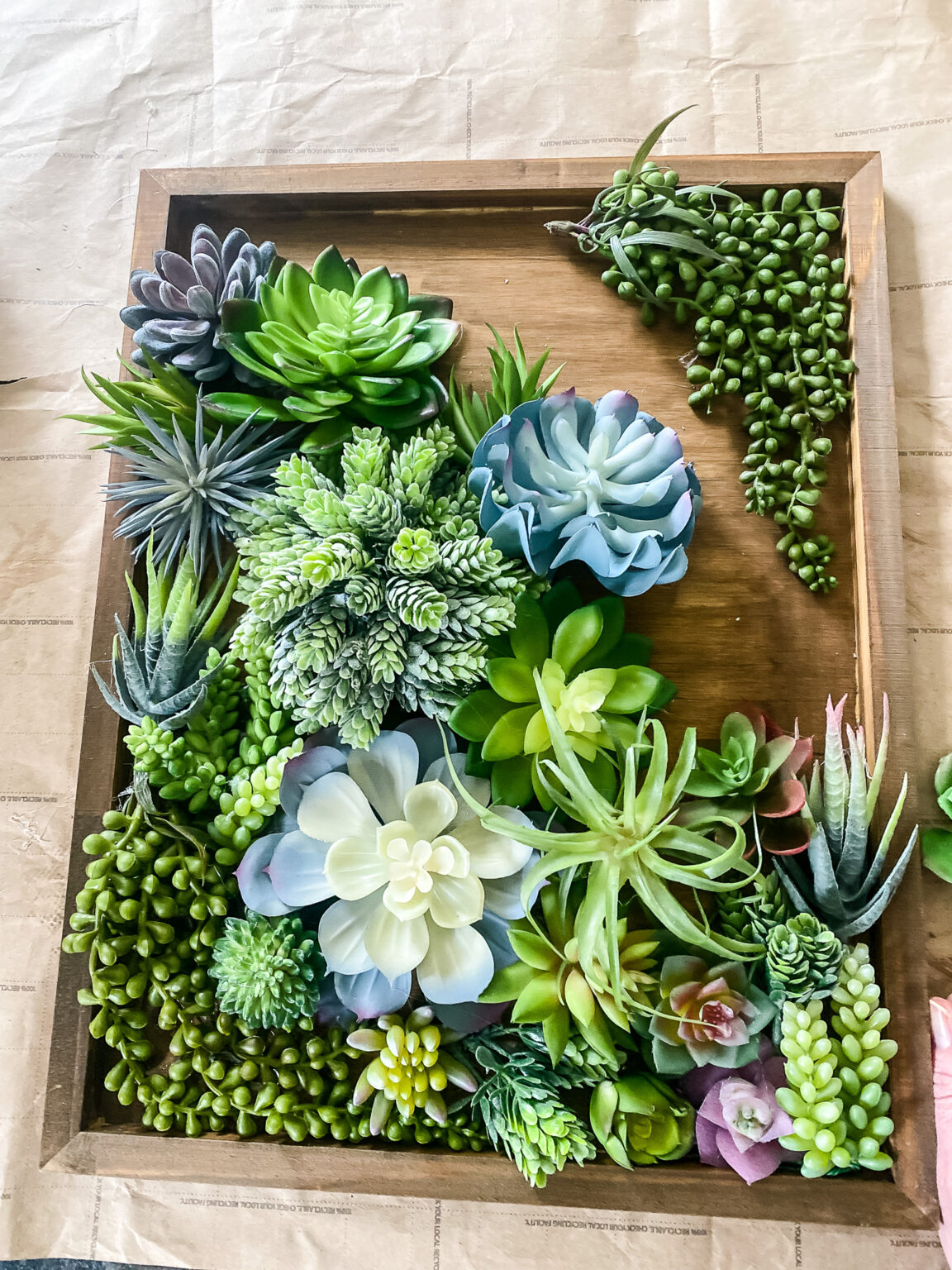 DIY Succulent Wall Art: The Perfect Way to Add a Touch of Green to Your ...