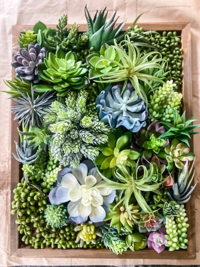 DIY Succulent Wall Art: The Perfect Way to Add a Touch of Green to Your Home - Cottage On Bunker ...