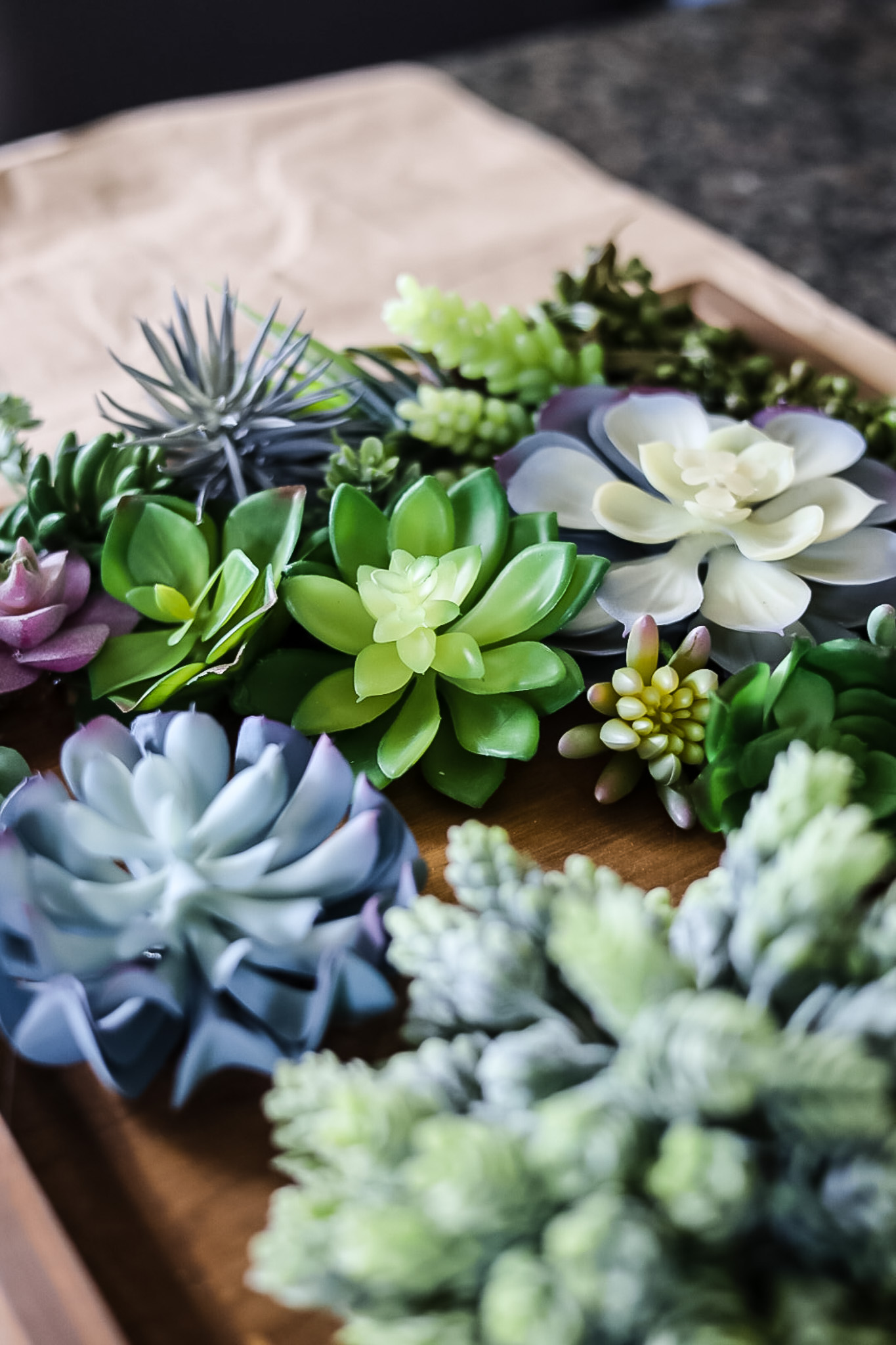 DIY Succulent Wall Art: The Perfect Way to Add a Touch of Green to Your ...