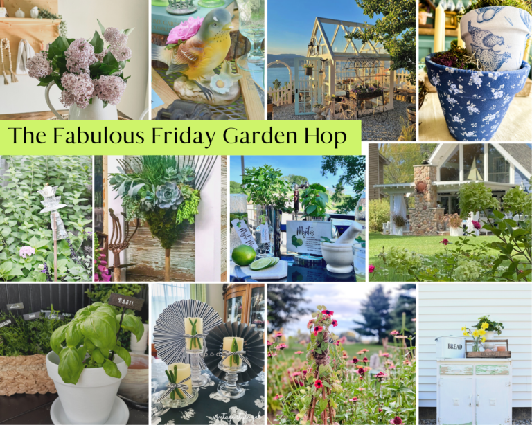 Affordable Gardening Tips: Budget-Friendly Ideas for Your Garden ...