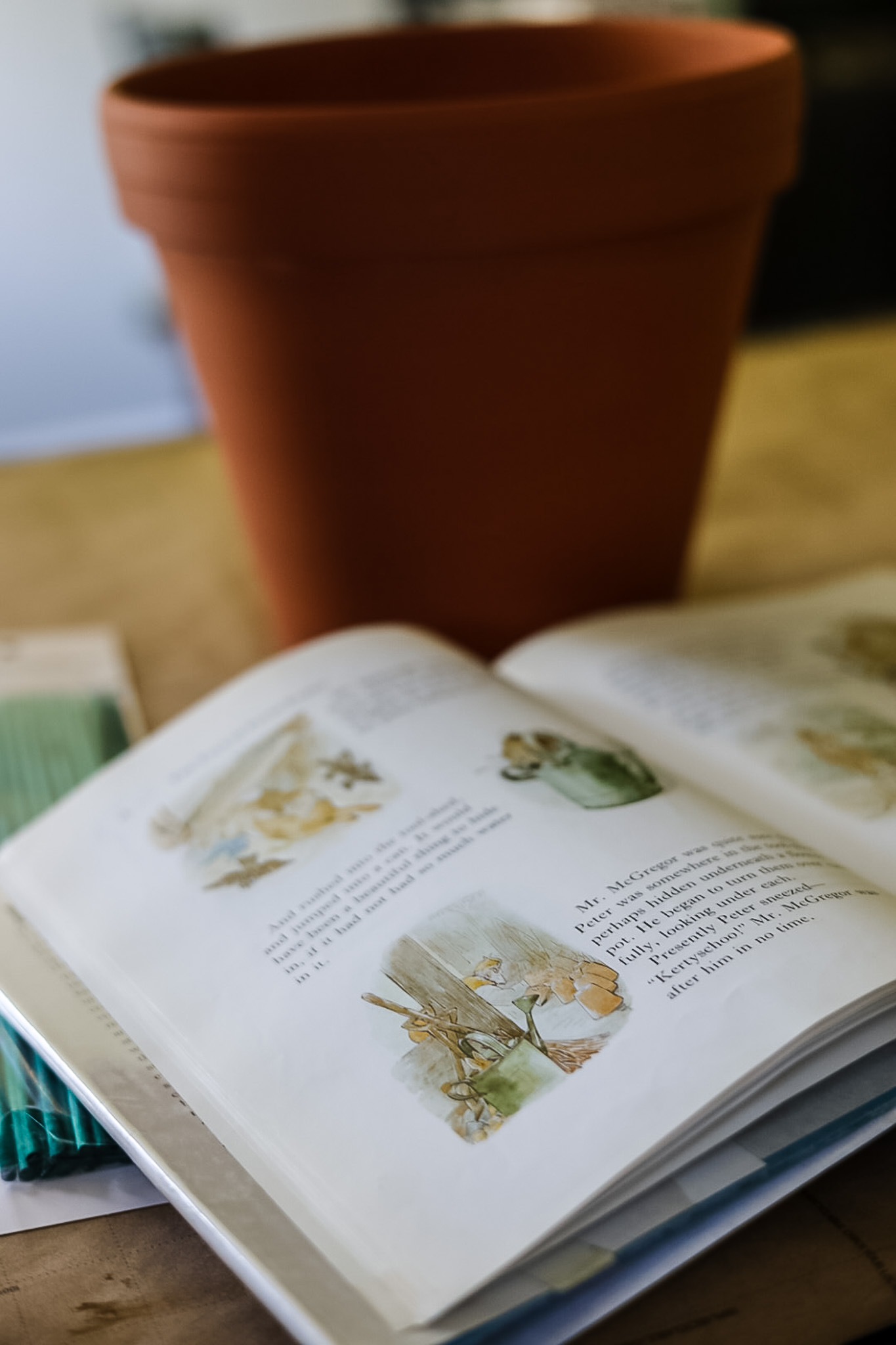 Bring Your Favorite Children's Books to Life with These Flower ...