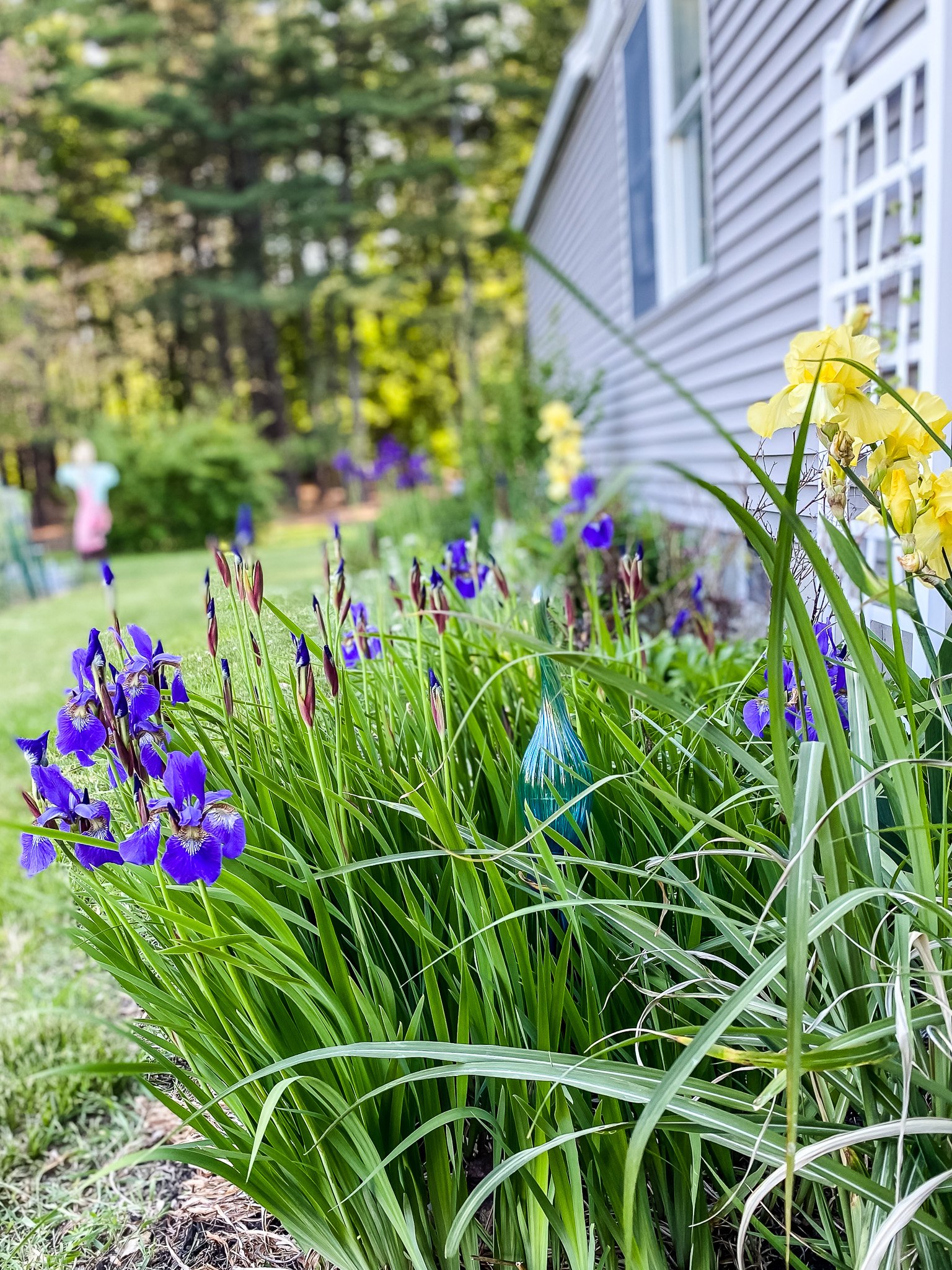 Spring into Bloom: Designing and Planting Your Dream Cottage Garden - Cottage On Bunker Hill