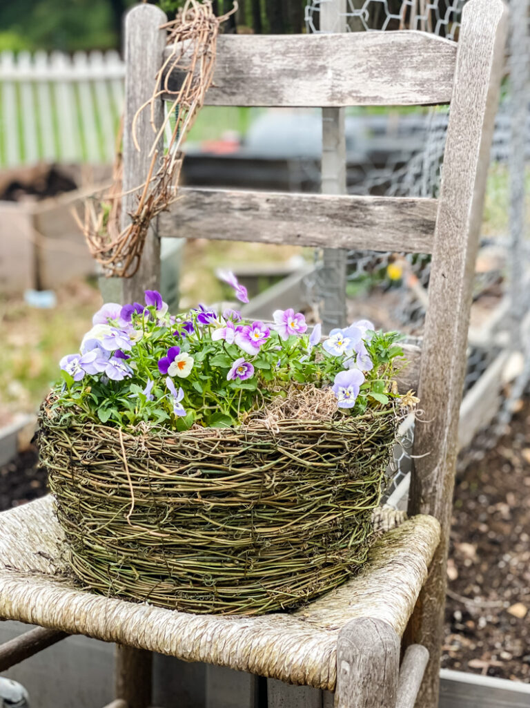 Thrift Your Way to a Cozy Home: How to Decorate with Thrifted Finds ...