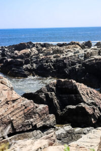 Exploring Marginal Way: A Scenic Coastal Walk in Ogunquit, Maine ...