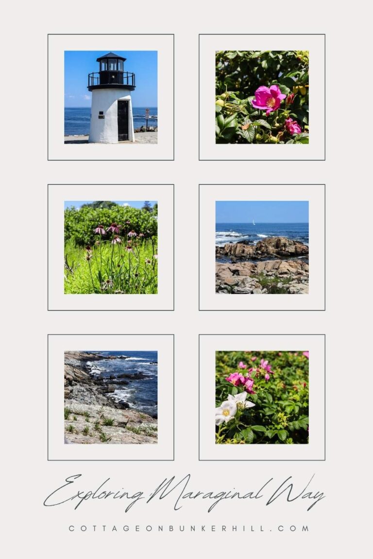 Exploring Marginal Way: A Scenic Coastal Walk in Ogunquit, Maine ...