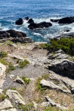 Exploring Marginal Way: A Scenic Coastal Walk in Ogunquit, Maine ...