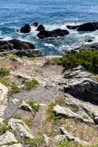 Exploring Marginal Way: A Scenic Coastal Walk in Ogunquit, Maine ...