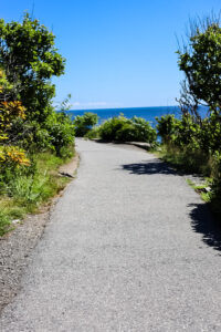 Exploring Marginal Way: A Scenic Coastal Walk in Ogunquit, Maine ...
