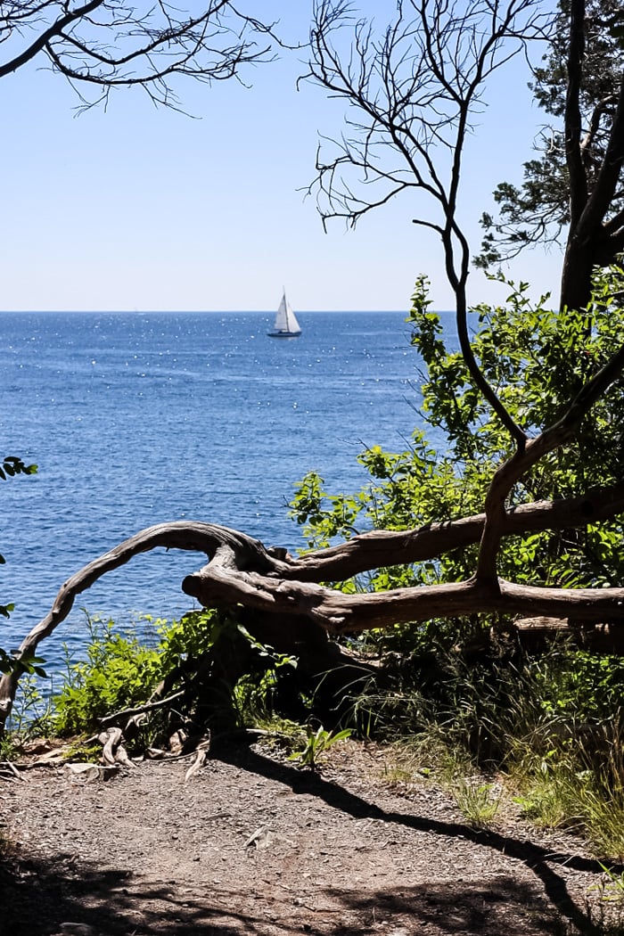 Exploring Marginal Way: A Scenic Coastal Walk in Ogunquit, Maine ...
