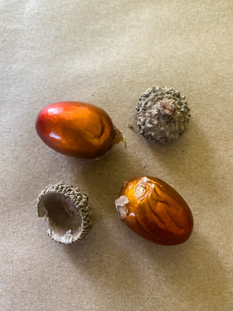 DIY Fall Decor: Crafting Easy Felt Acorns for Garland and Ornaments ...