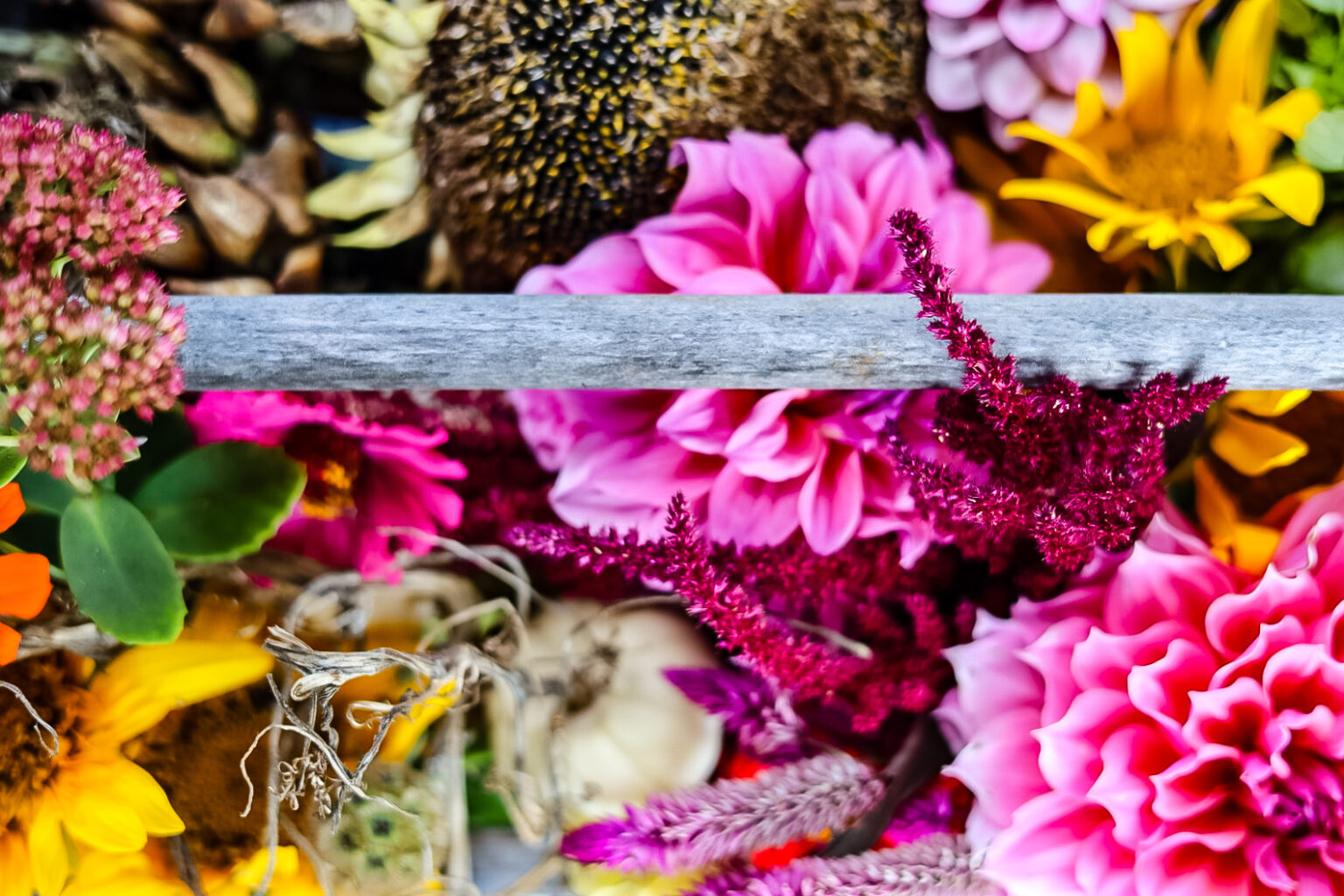 Gorgeous Blooms from My Garden: Best Cut Flowers to Grow Yourself ...