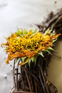 DIY Garden Wreath: A Step-by-Step Guide to Making a Gorgeous Wreath ...