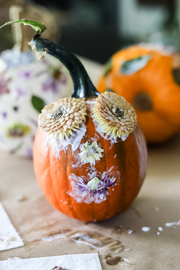 Decorating a Pumpkin with Pressed Flowers: A Step-by-Step Guide ...