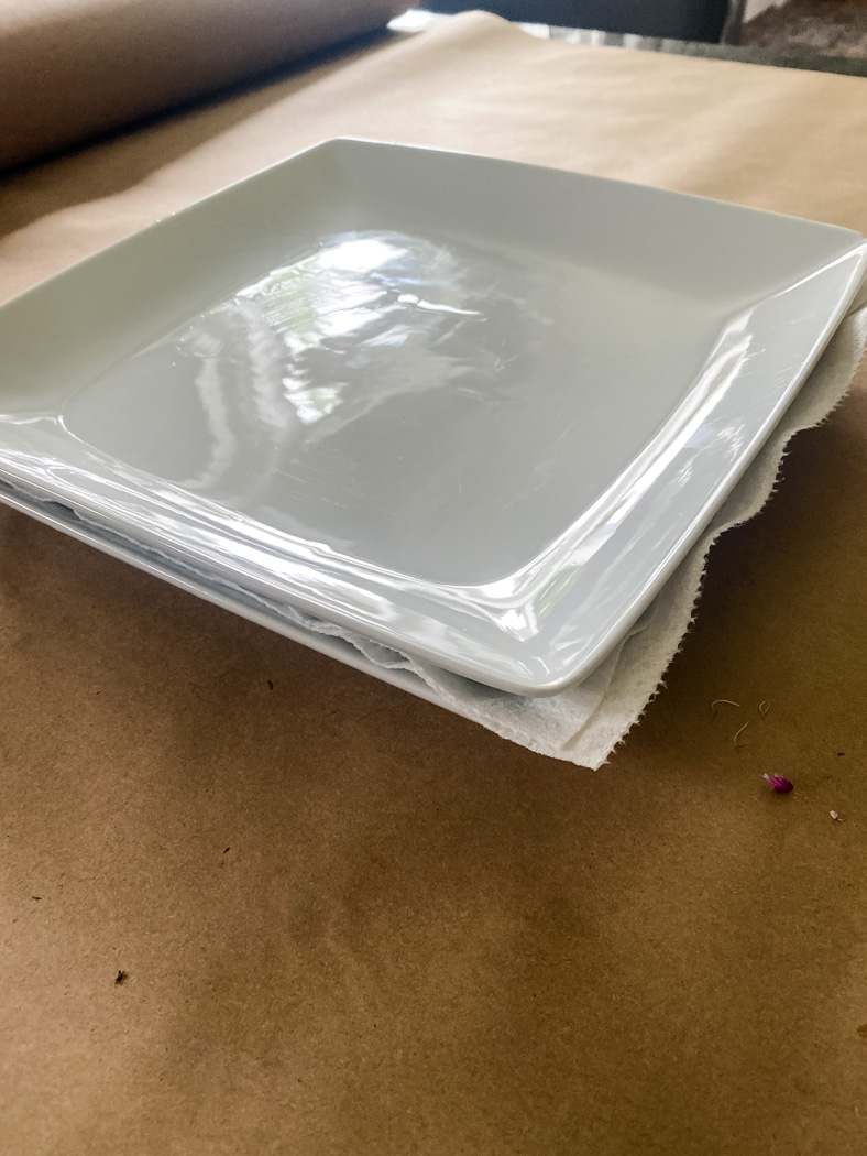 Decorating a Pumpkin with Pressed Flowers: A Step-by-Step Guide - Cottage On Bunker Hill