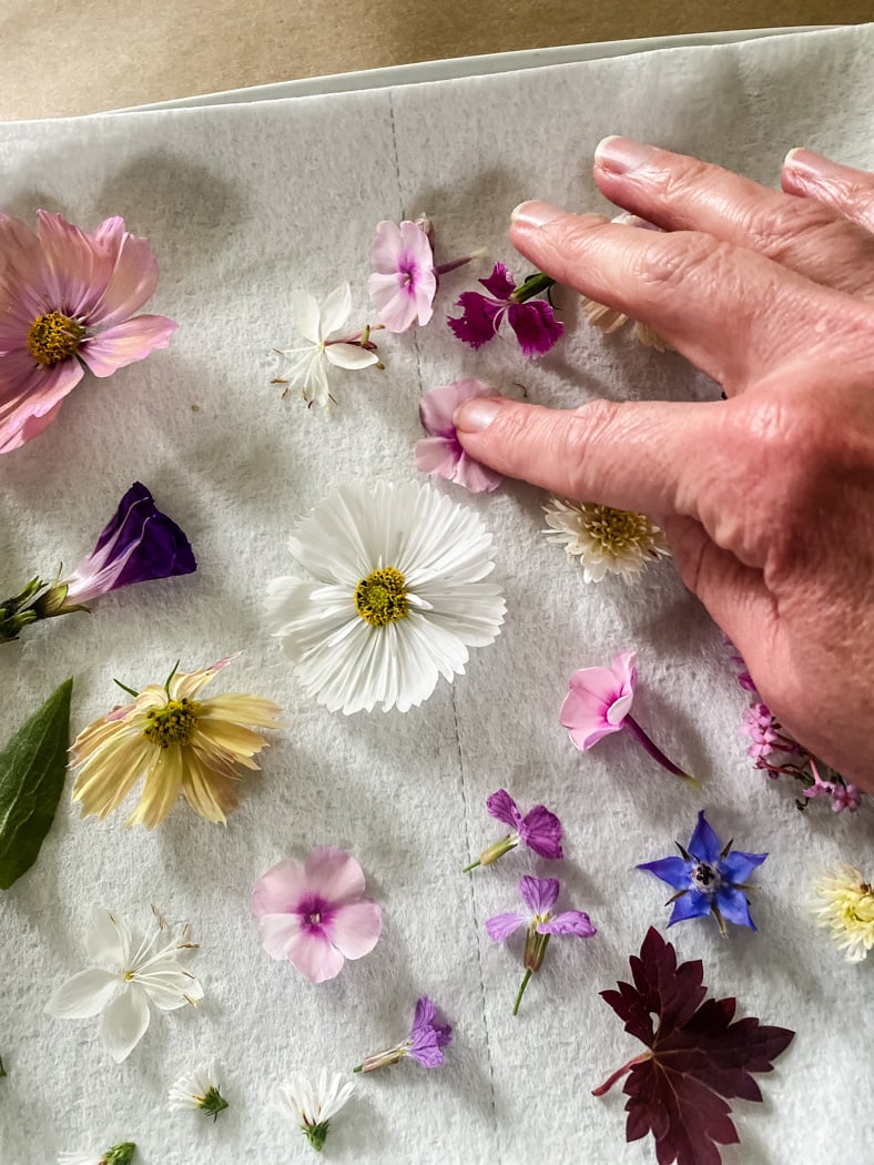 Ultimate Guide to Drying Flowers: Methods + Creative Projects - Cottage ...