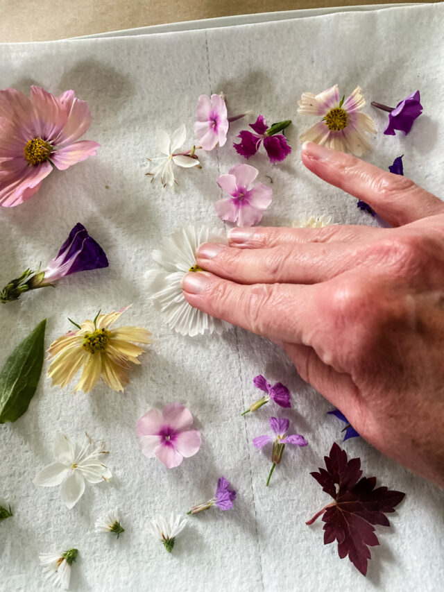 Stop Wasting Flowers! 4 Foolproof Ways to Press Blooms Like a Pro ...