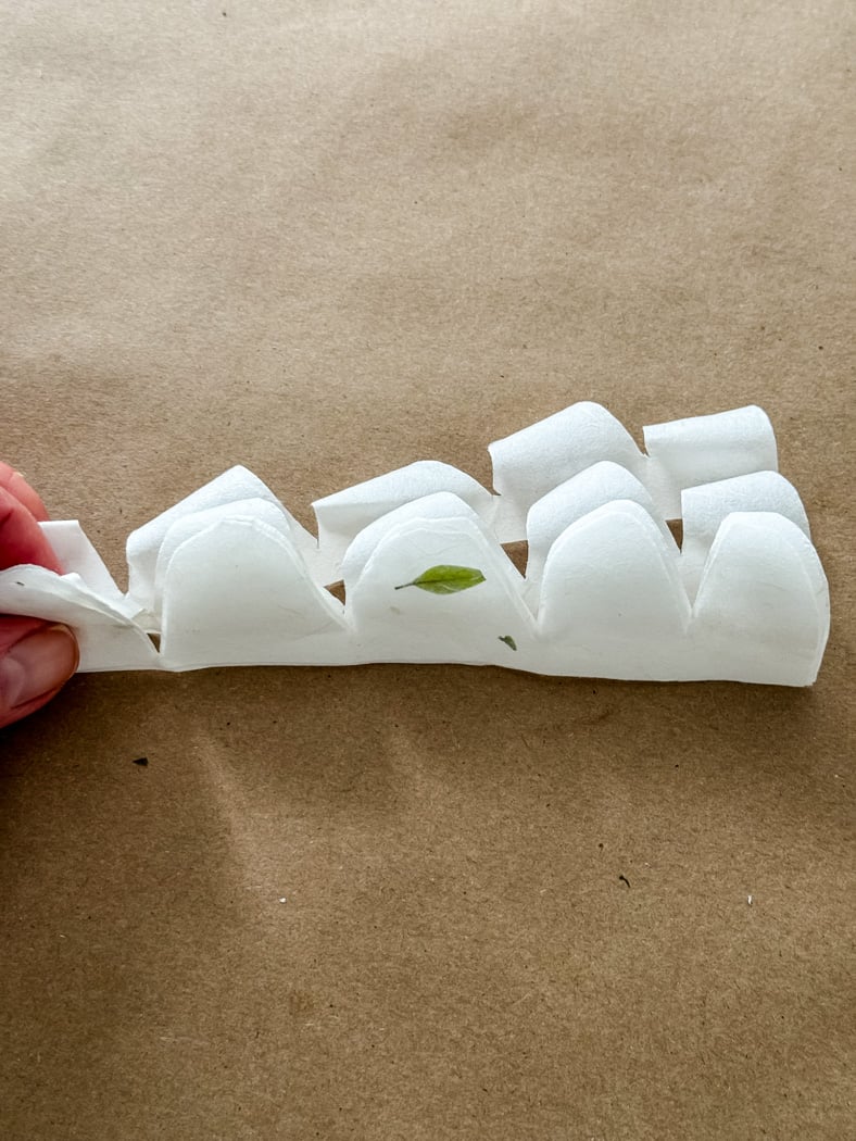 Shh, They're Not Real! Springtime Branches with DIY Paper Blossoms ...