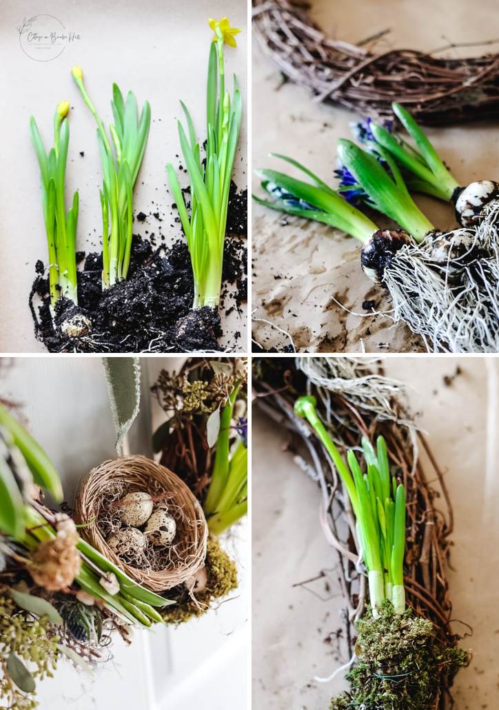 How to Make a Live Spring Wreath with Bulbs - Cottage On Bunker Hill