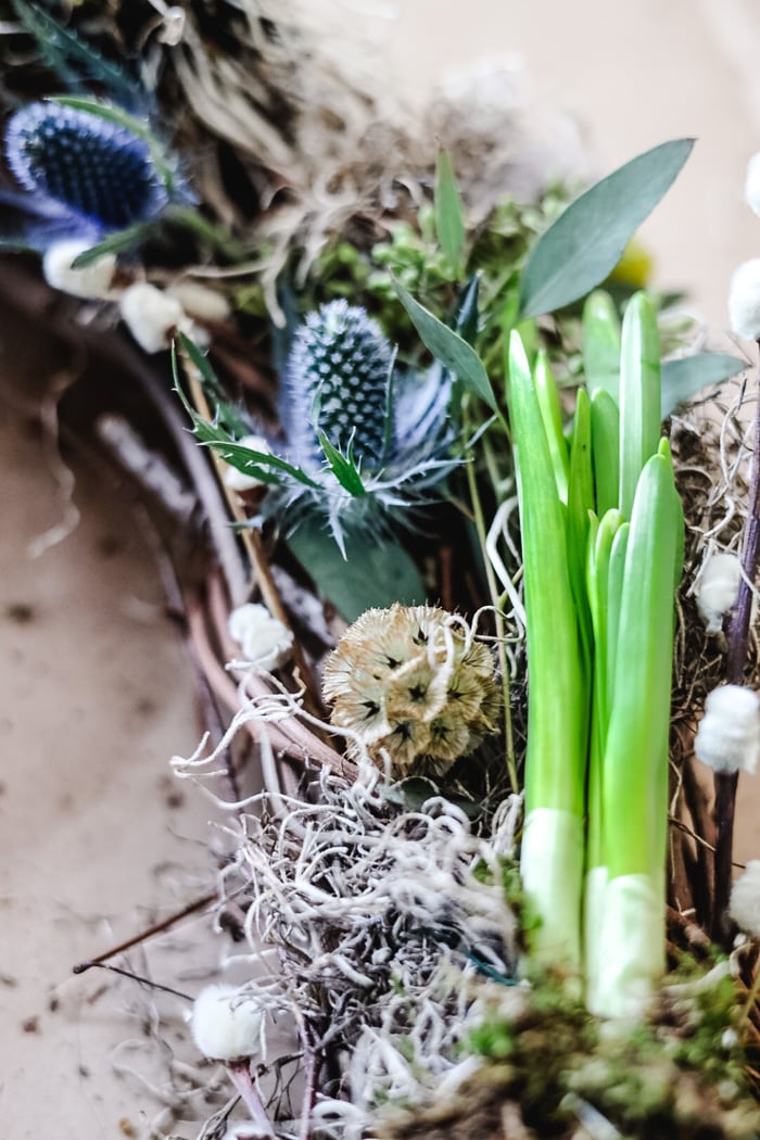 How to Make a Live Spring Wreath with Bulbs - Cottage On Bunker Hill