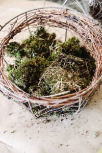 How to Make a Live Spring Wreath with Bulbs - Cottage On Bunker Hill