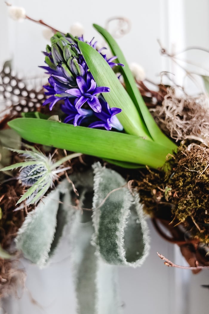 How to Make a Live Spring Wreath with Bulbs - Cottage On Bunker Hill